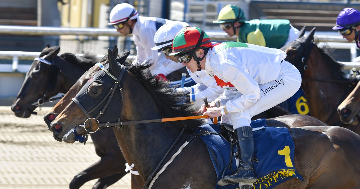 Galopptävlingar på Jägersro Galopp 18 juni - Svensk Galopp