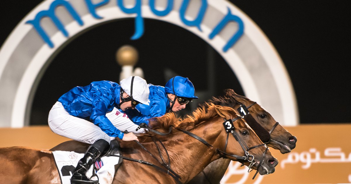 Galoppsport utomlands - Svensk Galopp