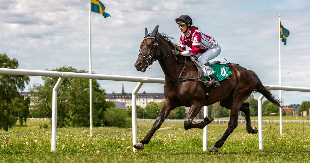 Svensk Travsport och Svensk Galopp fördjupar samarbetet runt ...