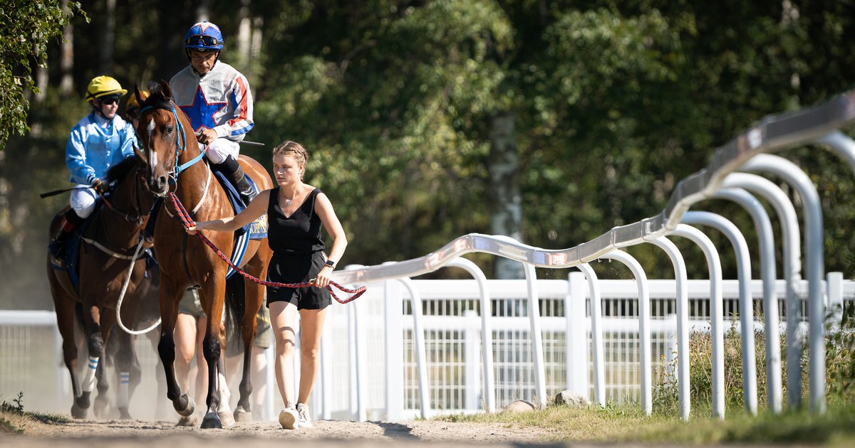 Inför tävling - Svensk Galopp