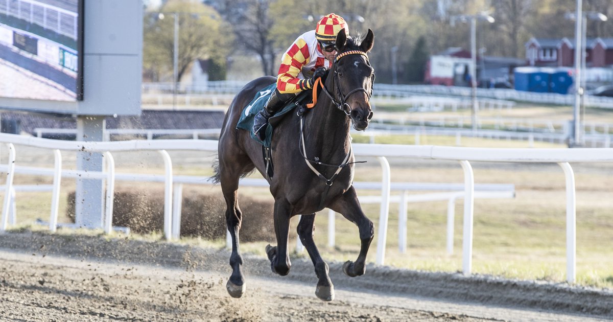 Övrevoll 4 maj: Svenskuppfödda Marcella Bloom vann utan att förta sig ...