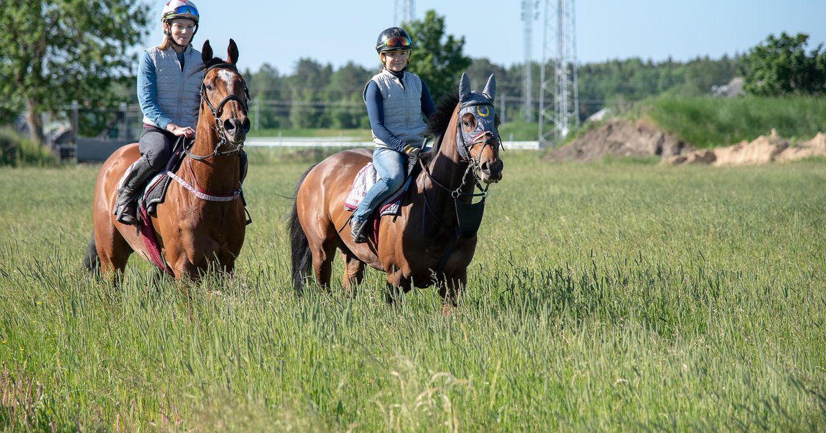 Förberedande tappskokurs med Rose-Marie Clark på Bro Park - Svensk Galopp