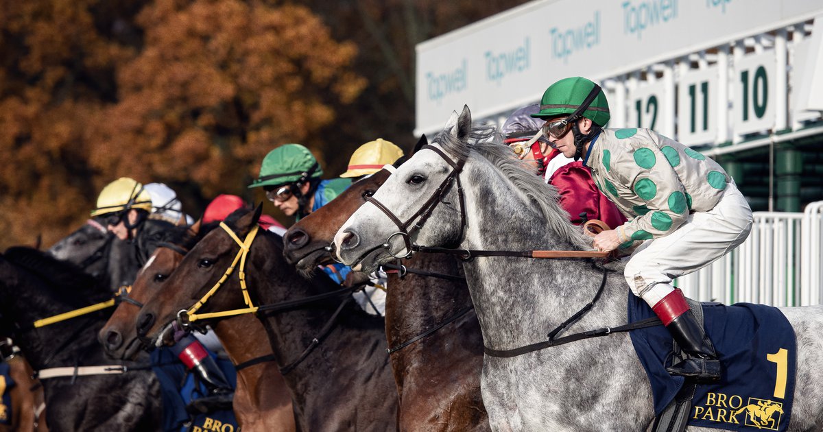 Sport och spel - Svensk Galopp