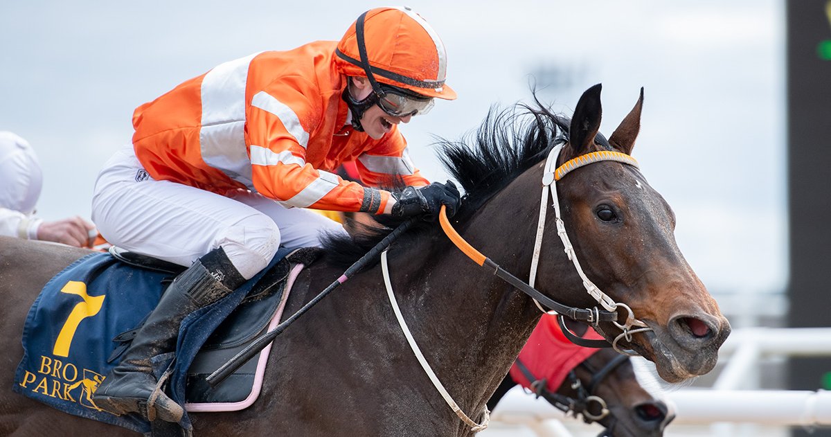 Angelika Berg: Allt annat än att rida ett lopp skulle vara en bonus ...