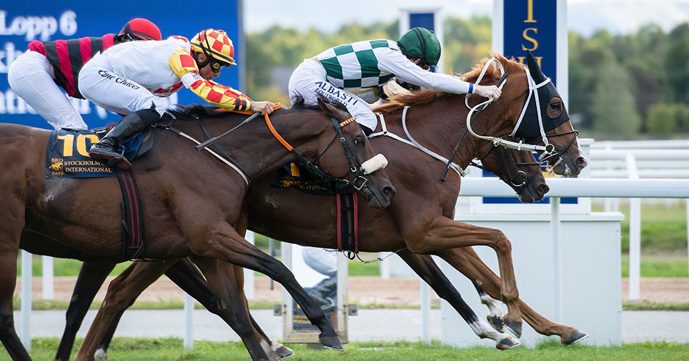 Startfälten i Cup-dagens fem största lopp - Svensk Galopp