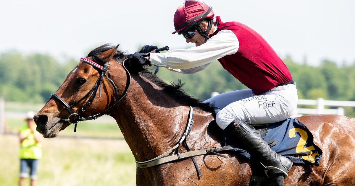 Niklas Lovén och Her Him vann Crystal Cup i Wrocław - Svensk Galopp