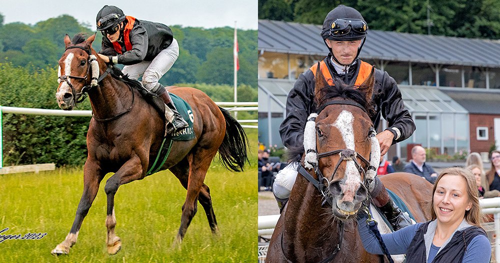 Max Friberg är tillbaka i sporten – men nu är det en hobby - Svensk Galopp