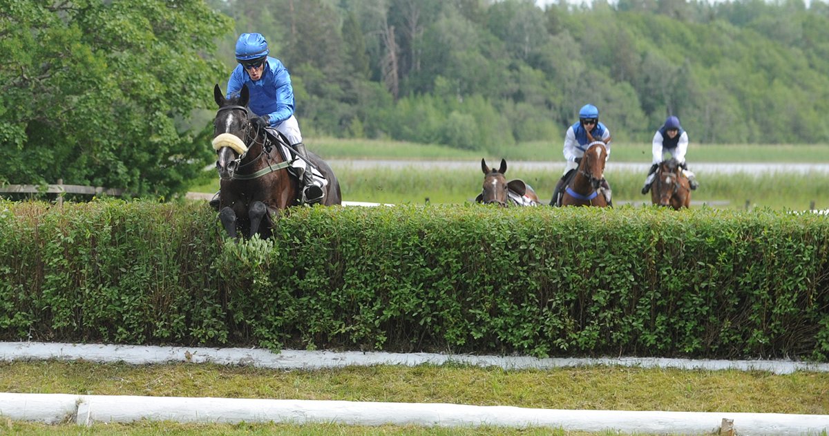 Pretty King och Monsieur Vic glänste på Strömsholm - Svensk Galopp