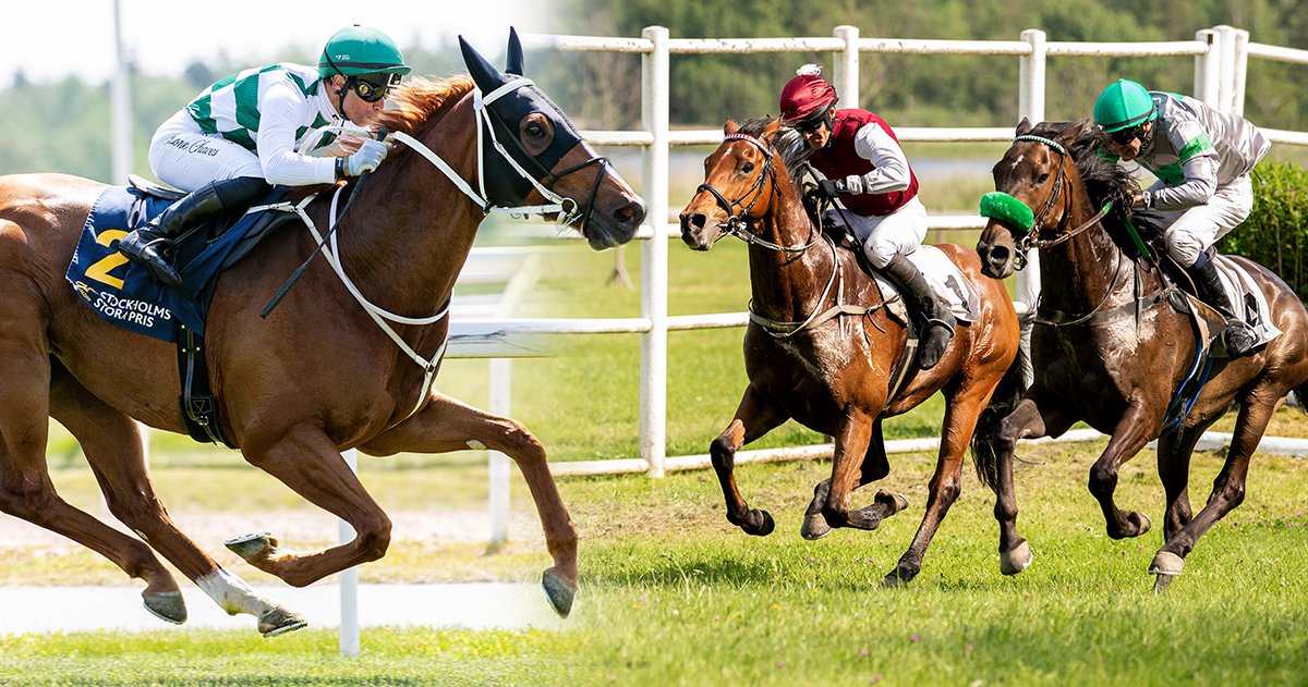 Veckosvepet 25: Derby Next Stop, Midsommargalopp och Royal Ascot ...